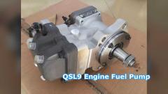 Fuel Pump C5594766 for QSL9 Engine