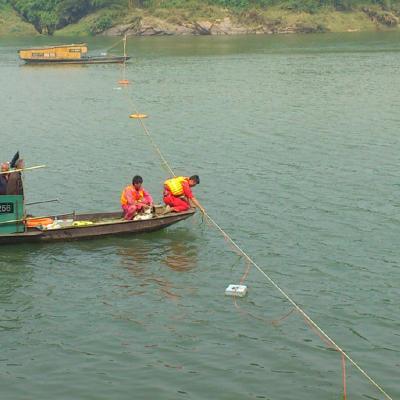 China Sistema de topografía eléctrica geoeléctrica 2D Resistividad/ IP Meter con electrodos en venta