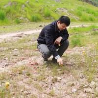 China High Performance Seismic Instruments For Seismic Exploration And Data Collection for sale