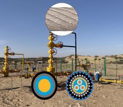 China 316 Alloy Oilfield Cable with Pressure Sealed Conduit for sale