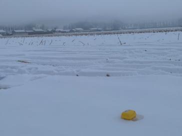 China Wireless Seismic Recorder with IP68 Waterproof Rating and 24-bit ADC Resolution for Real-time Data Transmission for sale