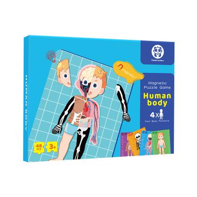 Het magnetische Spel van de Menselijk die Lichaamsanatomie met 48 Magnetische Stukken en Opslagdoos wordt geplaatst