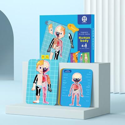 China 48 Stks Magnetische puzzels voor kinderen Menselijke anatomie puzzel Montessori lichaamsdelen legpuzzel Te koop