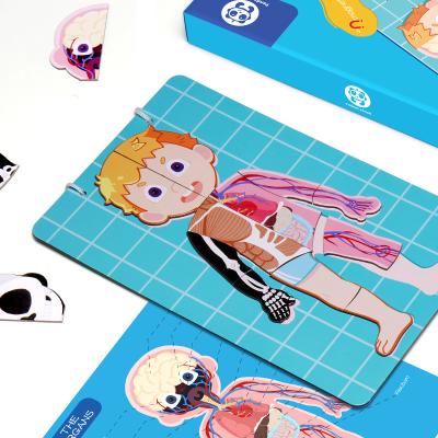 China 48 Stks Magnetische puzzels voor kinderen Menselijke anatomie puzzel Montessori lichaamsdelen legpuzzel Te koop