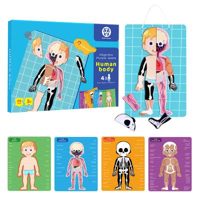 China 48 Stks Magnetische puzzels voor kinderen Menselijke anatomie puzzel Montessori lichaamsdelen legpuzzel Te koop