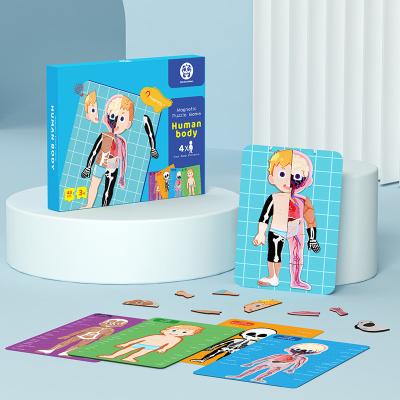 China Anatomia do corpo humano que aprende o enigma magnético para idades 3-8 crianças 48Pcs com caixa de presente à venda