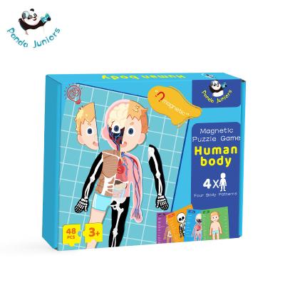 Cina Multi puzzle di colore del corpo umano di anatomia dell'insieme magnetico del gioco per i bambini in vendita