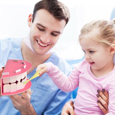 Cina Giocattoli educativi prescolari EN71 per buon addestramento di abitudini dello spazzolino da denti dei bambini in vendita