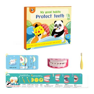 Cina Giocattoli educativi di spazzolatura di dente Montessori Homeschool per i bambini in vendita