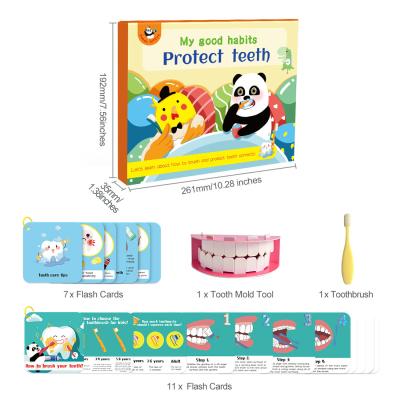 Cina CPSIA Panda Juniors Preschool Educational Toys per l'apprendimento di cura del dente in vendita