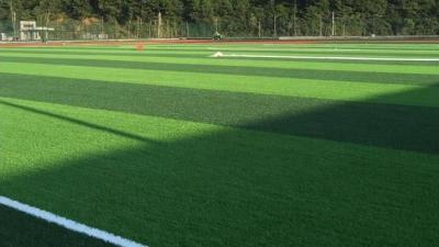 China Soccer Field Artificial Turf Artificial Grass Carpets For Football Stadium for sale