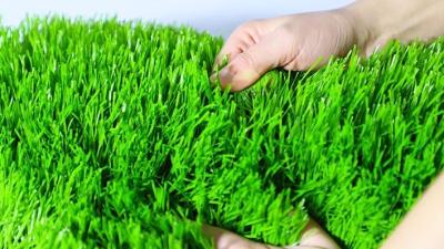 China Rainbow lawn turf artificial grass synthetic multifunction artificial grass for sale