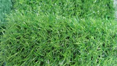 China Professional synthetic garden turf outdoors grass carpet realistic artificial green turf for sale