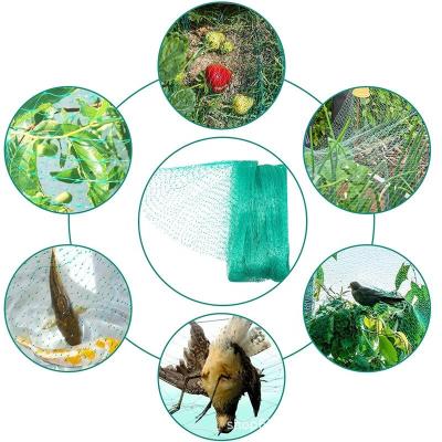 China Agricultural anti-bird net  NYLON knitting anti bird protection net bird net for sale