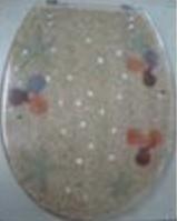 China decorative polyresin TOILET SEAT COVER,PP TOILET SEAT COVER,SOFT CLOSING HINGE for sale
