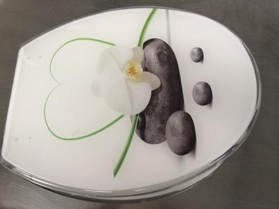 China color toilet seat for sale