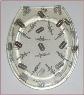 China toilet seat cover for sale