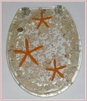 China toilet seat for sale