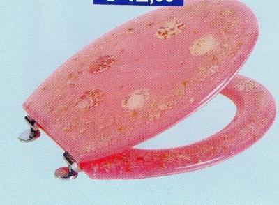 China sea star poly-resin toilet seat  cover,decorate toilet seat, transparent toilet seat for sale