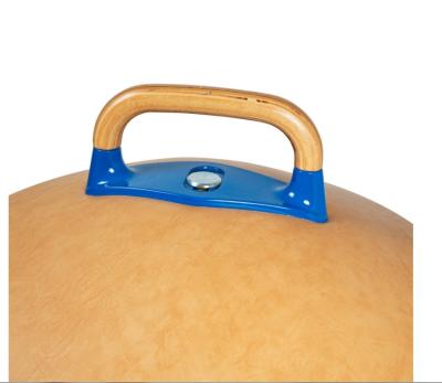 China De Talentengymnastiek van de triplextrein de Paddestoelen van de Opleidingssportuitrusting staat Turners toe Te koop