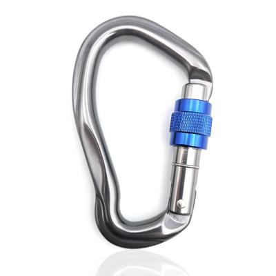 Other Heavy Duty Customize Logo Climbing Carabiner Aluminum Alloy Snap Hook