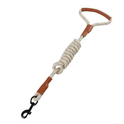 China Comfortable Leather Grip Dog Leash Nylon Braided Rope Reflective, Night Safety for sale