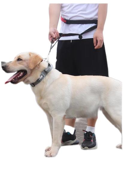 Quality Multifunctional Durable Traction Rope for Dogs - Adjustable, Heavy-Duty, and for sale