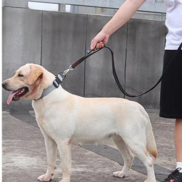 Quality Multifunctional Durable Traction Rope for Dogs - Adjustable, Heavy-Duty, and for sale