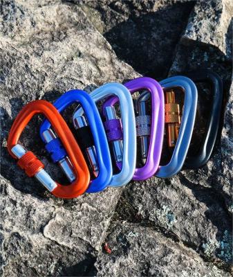 China Electrolytic Treatment Finish Climbing Hook Must-Have for Hikers and Rock Climbers for sale