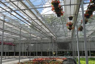 China 1x7 3.0mm Greenhouse Cable Galvanized Steel Cable Wire for Grape Trellis Support Reinforcement and Strengthening for sale