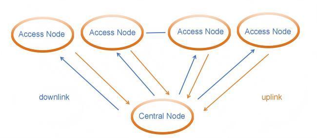 Point-to-multipoint network diagram