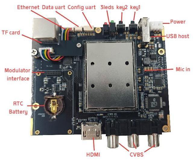 COFDM receiver module