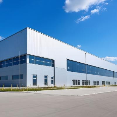 China Customized Steel Structure Warehouse Construction Factory Building Fire Resistance for sale