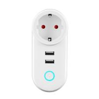 China 110V~240V Smart Plug Socket 60g Usb Controlled Smart Plug Tuya for sale