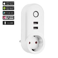 China 110V~240V Smart Plug Socket 60g Usb Controlled Smart Plug Tuya for sale