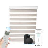 China Tuya Remote Control Window Blinds 10cm for sale