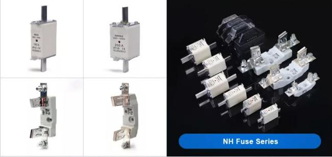 Nh Series Dual Indicator Fuse Link and Nt00 Double Indicator with Nh00-Nh4 Gg 500V-120ka (TUV, CE, CB, RoHS)