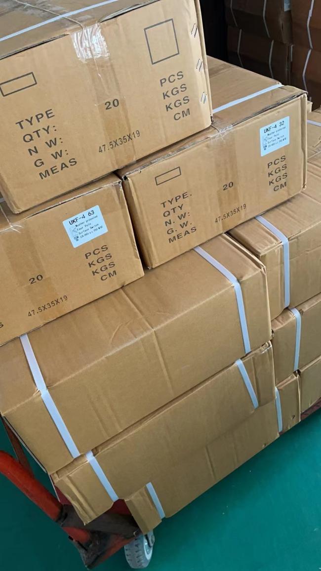 IP65 Ukf 4p 63A Protective Box Isolation Switch