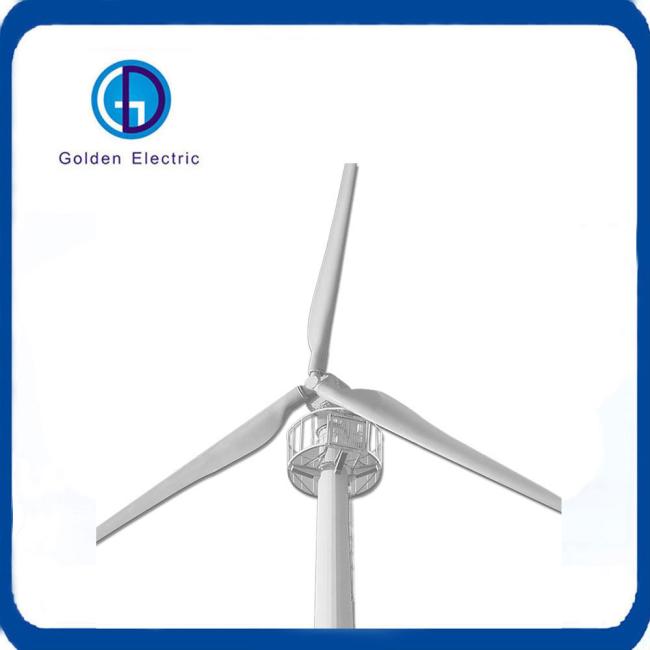 Home Use off Grid System 1000W AC 48V Wind Turbine Power Generator Horizontal Windmill Wind Turbine