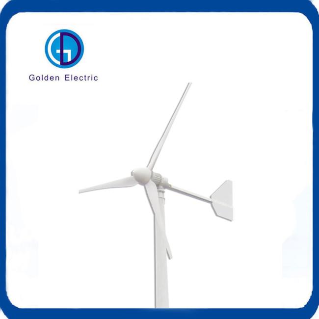 Home Use off Grid System 1000W AC 48V Wind Turbine Power Generator Horizontal Windmill Wind Turbine