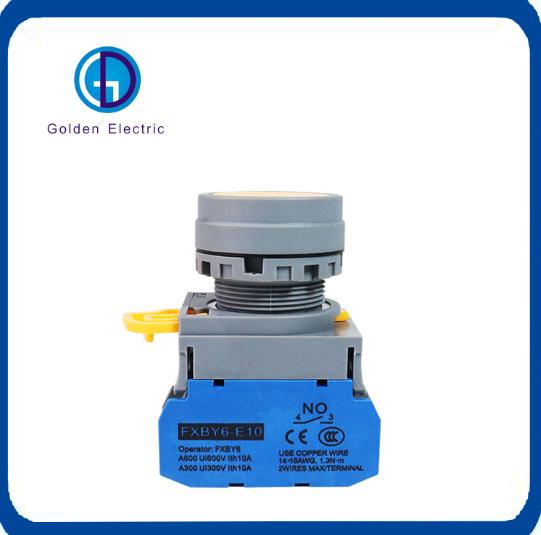 Plastic Button Fxby6 Momentary Switch Self-Recovery 22mm IP65 10A 1no Red Green Blue White
