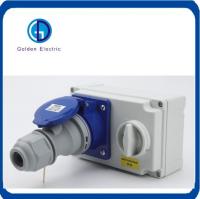 China 110-240V Industrial Mechanical Interlock Socket and Switch with Customization Option for sale