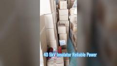 A Closer Look: 40.5kV High Voltage Epoxy Resin Insulator Shield Spout Bushings 660mm Height
