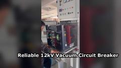 Introduce 12 kV High Voltage Indoor Vacuum Circuit Breaker Side Mounted 630A-1250A For You