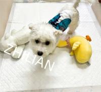 China Pet Training Underpad Making Machine 350 M / Min for sale
