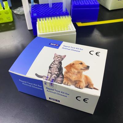 China brucellosis test kits for dogs for sale