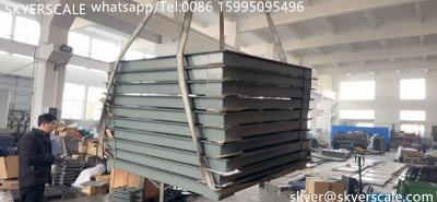 Cina Piattaforma digitale in acciaio al carbonio da 5 tonnellate con indicatore A12E in vendita