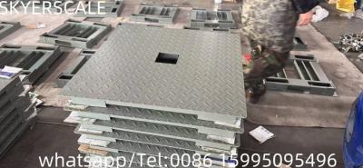 Cina 500 kg Scala di piattaforma per la classificazione dei rifiuti in vendita