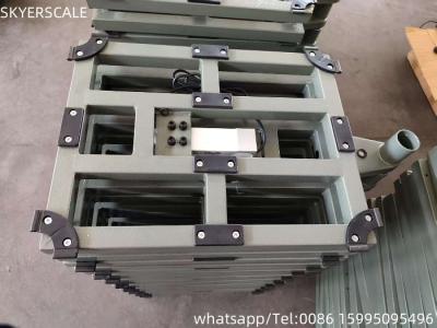 China 300 Kg Mild Steel Bench Scale Industrial Platform Scale Weight Scale for sale
