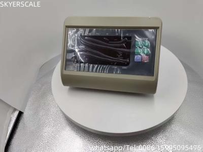 China RS232 Weegindicator Display voor weegschaal Weegschaalindicatoren LED XK3190 T7+E Te koop